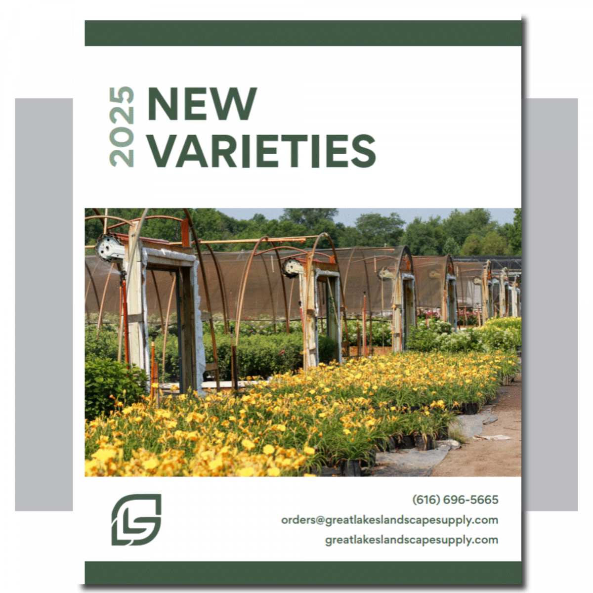 Trees, Shrubs, Perennials – GREAT LAKES LANDSCAPE SUPPLY